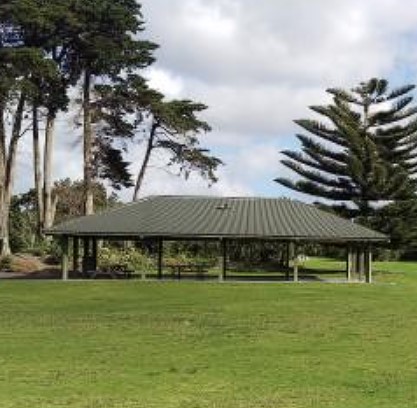 Torbay Garden Club – A Community-focused club about Gardening in Torbay ...